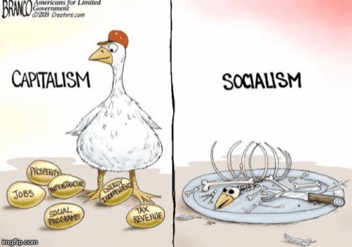 Animated GIF - Imgflip