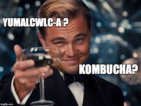 wolf of wall street - Imgflip