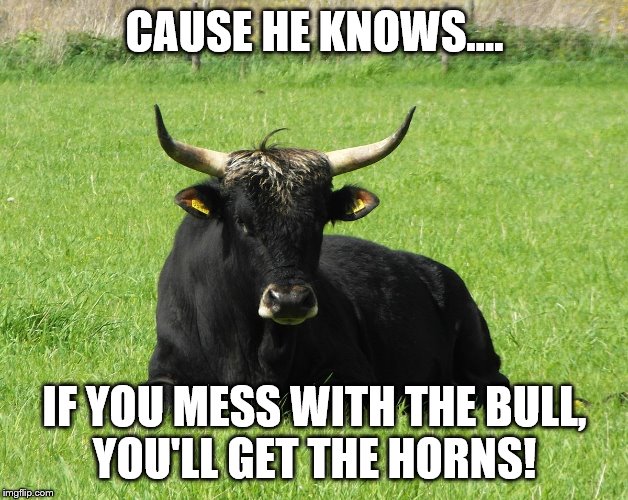 Good Fellas Hilarious Meme - Imgflip