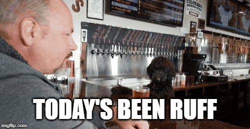 It's Friday & I've had a ruff day - Imgflip