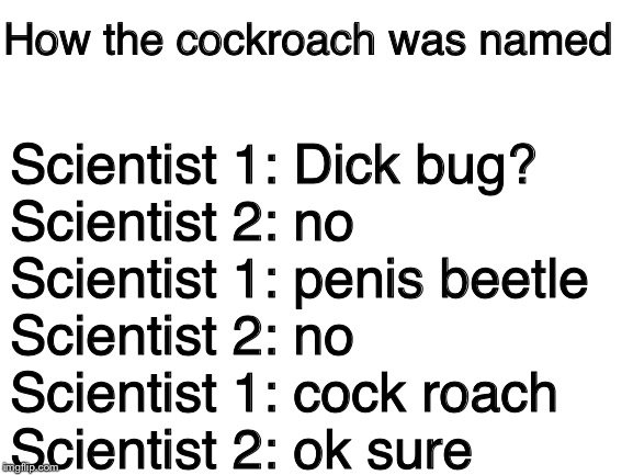 Blank White Template - Imgflip