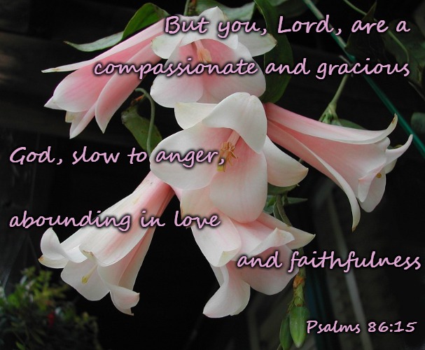 Psalms 86:15 But You, Lord. are a Compassionate and Gracious God - Imgflip