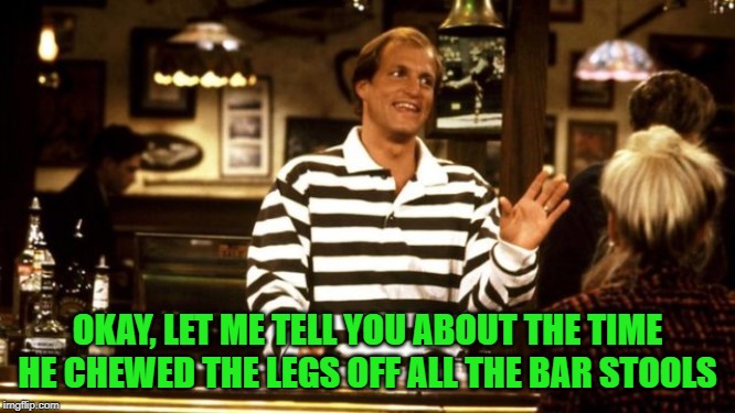 Ted Damson, Cheers!! - Imgflip