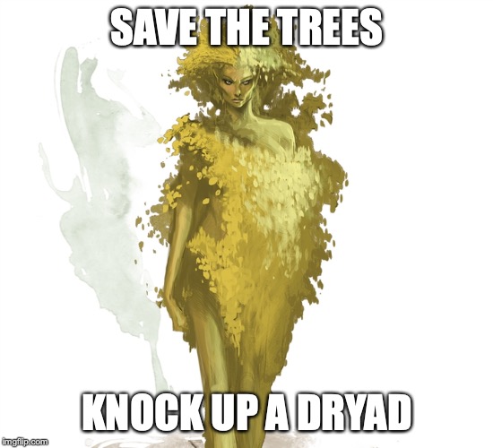 A Chaotic Good Druid - Imgflip