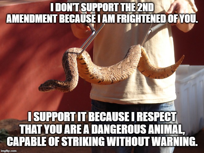 Snake Handling Memes