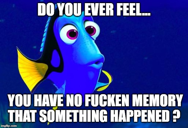 Bad Memory Fish - Imgflip