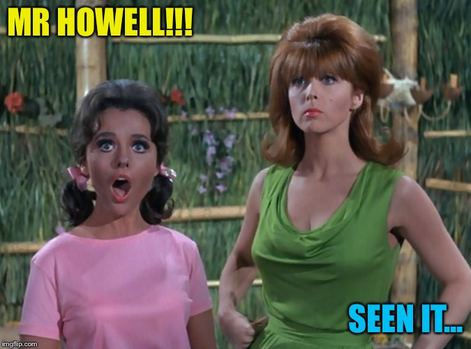 Mr Howell Gilligans island - Imgflip