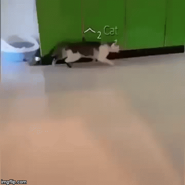 Player: "Cat" has left the game - Imgflip