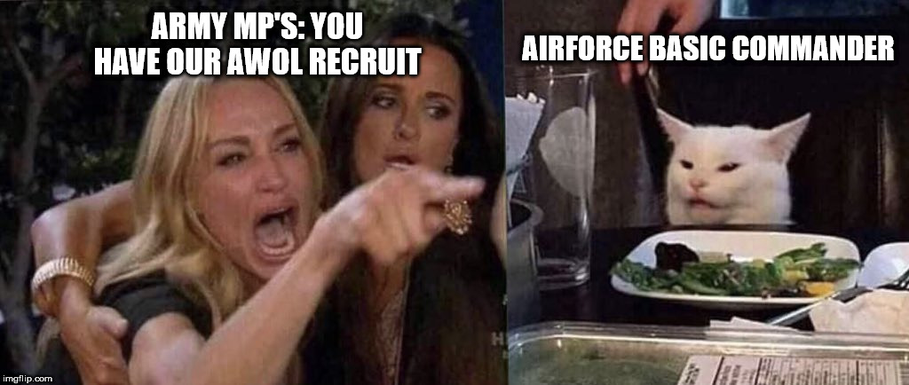 woman yelling at cat - Imgflip