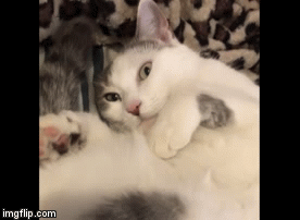 Hey There Baby.... - Imgflip