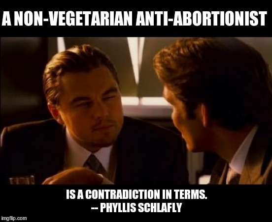 Contradiction in Terms - Imgflip