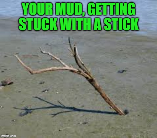 See Nobody Cares Meme - Imgflip