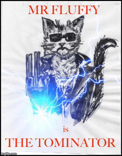 mr fluffy - Imgflip