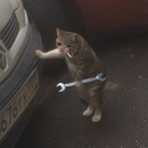 cat Blank Template - Imgflip