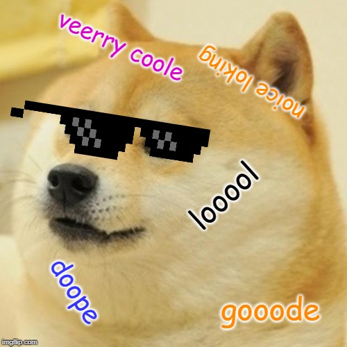 Doge Meme - Imgflip