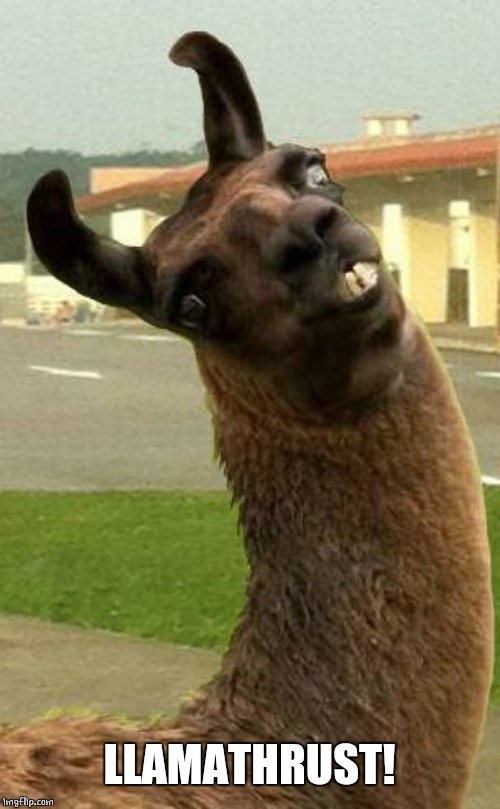 DONT LISTEN TO THE AUDIENCE - Imgflip