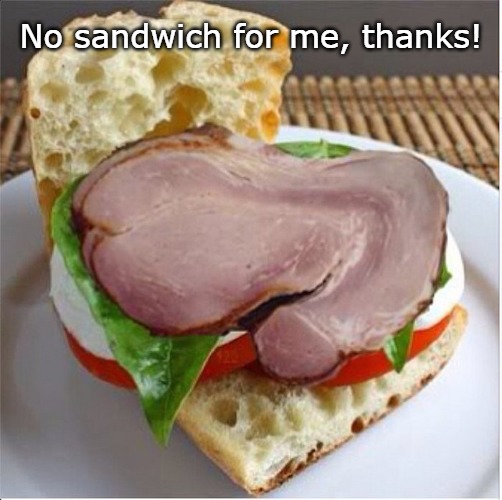 Image tagged in sandwich,ham,sick humor,mystery meat,sammich - Imgflip