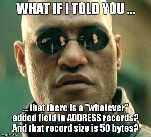 How To Determine Hex Locations Flat File Database Structure Programming C Delphi Vb
