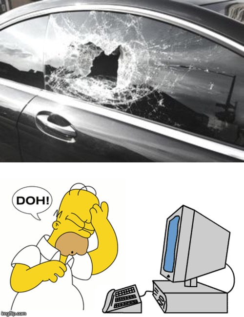 Image tagged in pigeons,me and the boys week - Imgflip