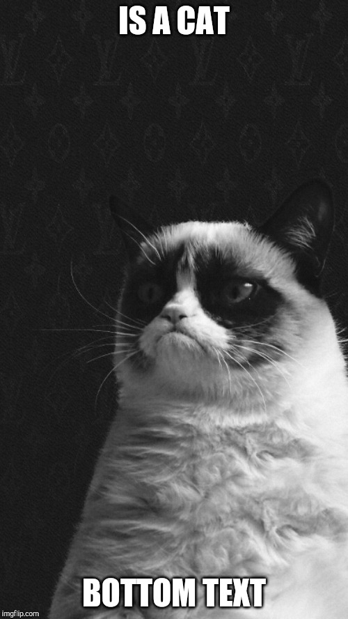 Image tagged in grumpy cat - Imgflip