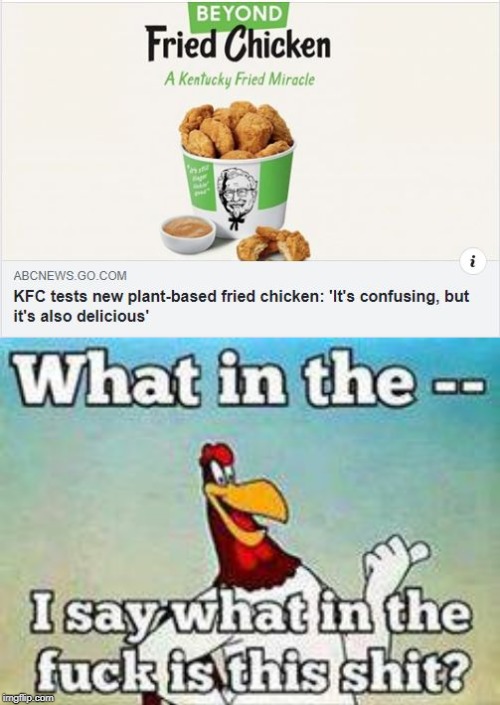 That's a Hard NO From Me... - Imgflip