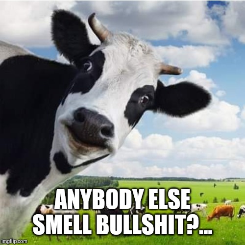 bullshit - Imgflip