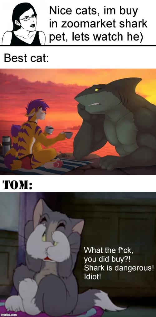 Types of cats! Buying shark pet and lets try watch) - Imgflip