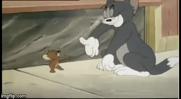 tom wishes - Imgflip