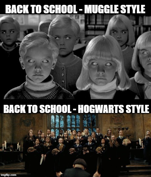 Hogwarts Students Goes To Muggle School Fanfiction at Inez Smith blog