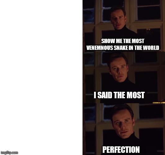 Perfection Meme Template