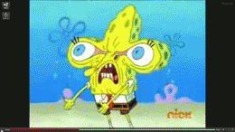 Animated GIF - Imgflip