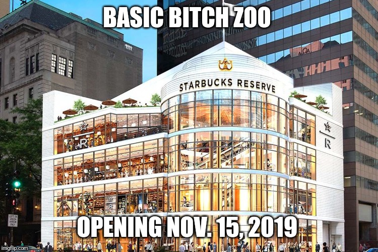 Image tagged in basic,white girls,starbucks,funny memes,memes - Imgflip