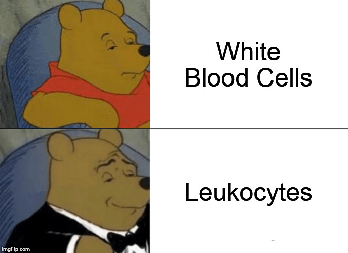 Tuxedo Winnie The Pooh Meme - Imgflip