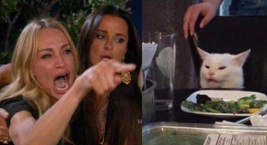 Angry Women Cat Blank Template Imgflip