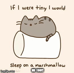 If I Were Tiny... Ima Sleep. - Imgflip