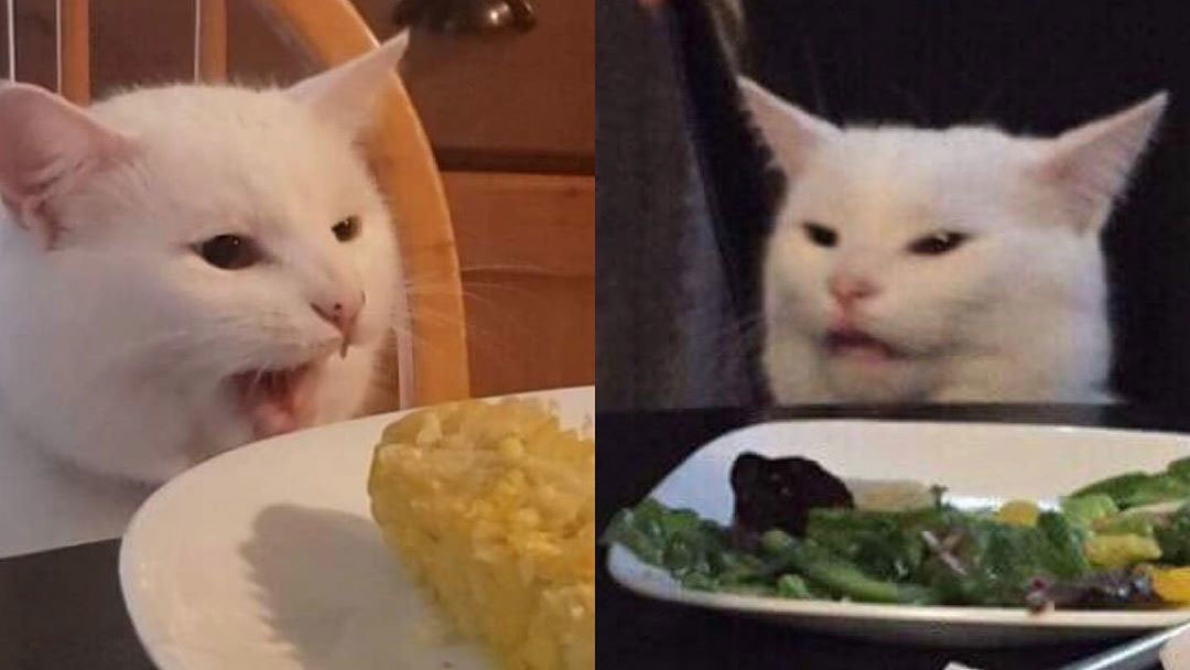 Cat s Dinner Table Blank Template Imgflip