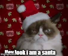 santa Grumpy - Imgflip