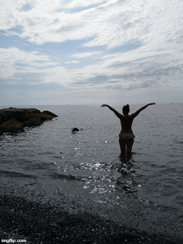 Beaching Imgflip 3628