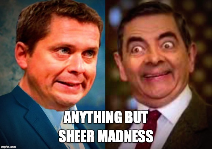SHEER MADNESS - Imgflip