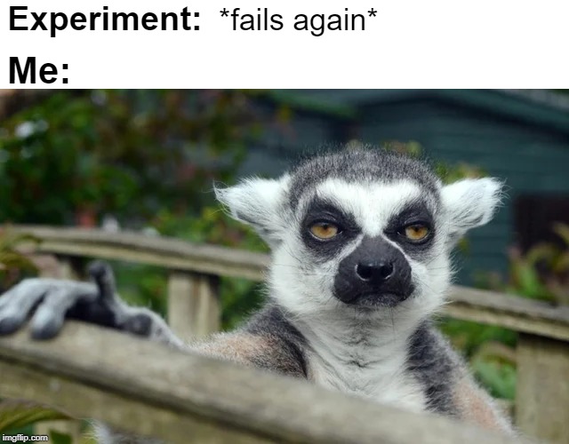 fuck my life lemur - Imgflip