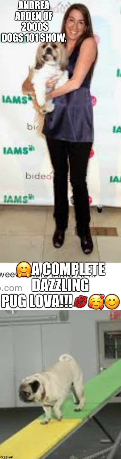 PUG AND ANDREA ARDEN!!!!!!!!!!!!!!!! - Imgflip