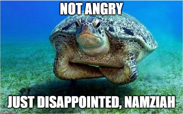 Disappointed turtle - Imgflip