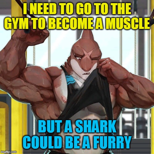 Gym and shark meme - Imgflip
