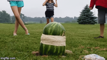 Bursting with Flavor! - Imgflip