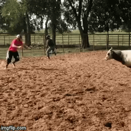 mess with the bull you get the horns - Imgflip