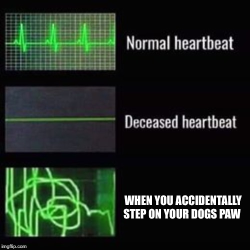 heartbeat rate - Imgflip