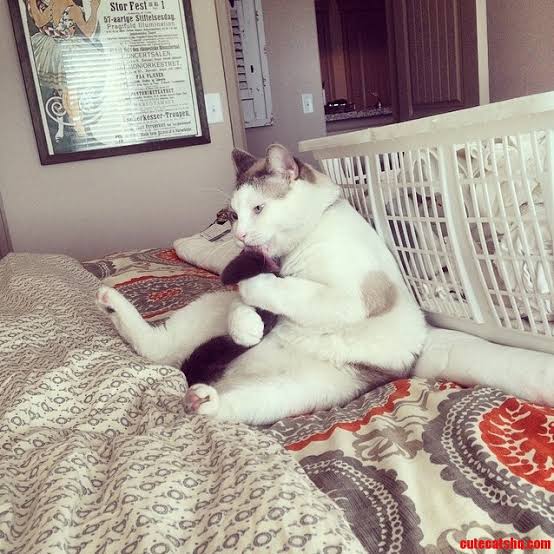 Self Gratification by Proxy Blank Template - Imgflip