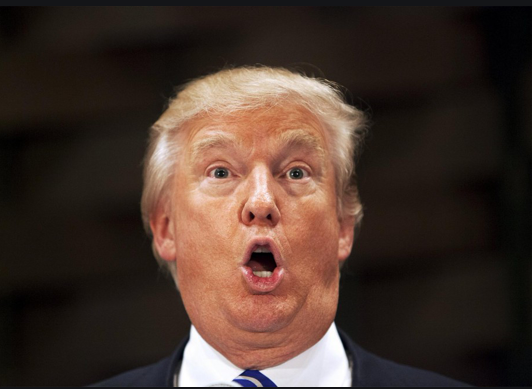 Trump busted Blank Template - Imgflip