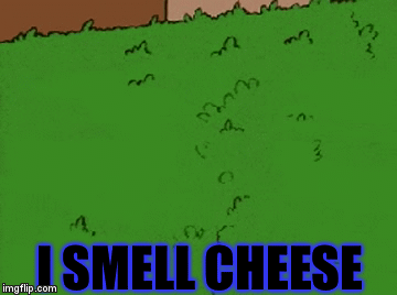 Cheese - Imgflip
