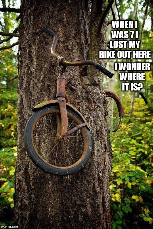 bike Memes & GIFs - Imgflip